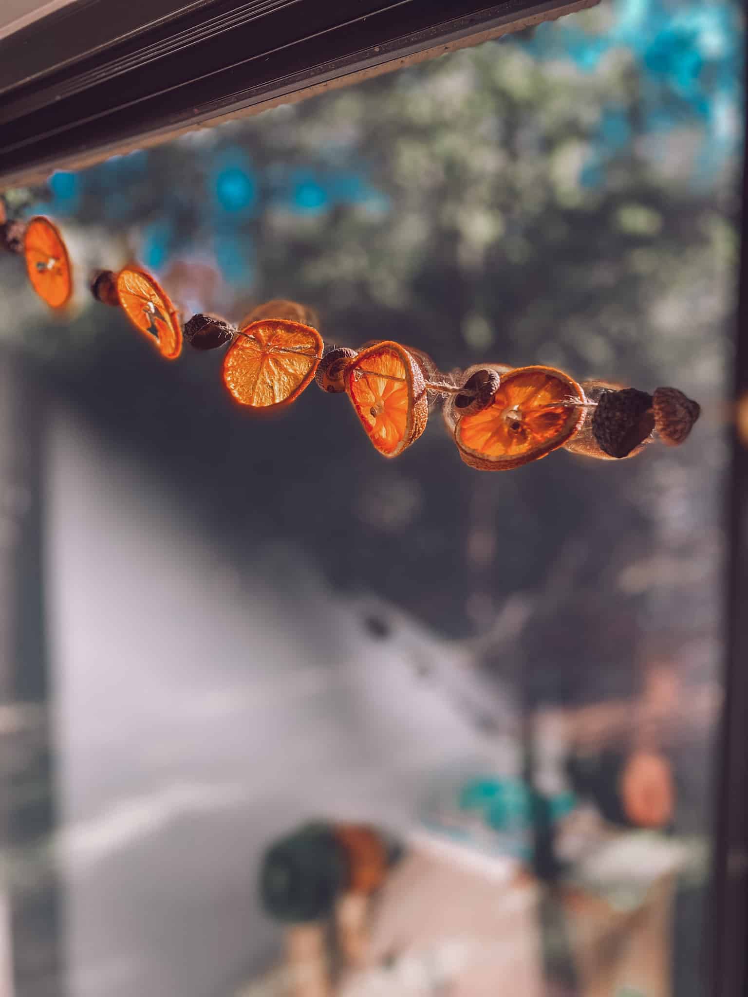 Top Decorations for Fall - How to Make DIY Dried Orange Slice Garland ...