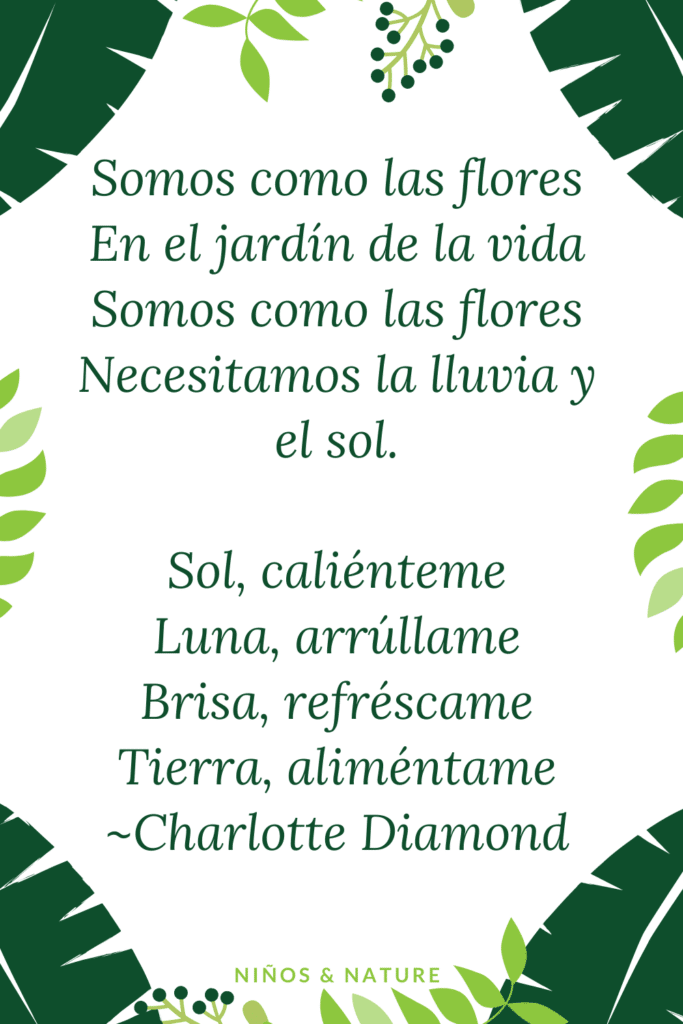 The best Spanish songs and poems for spring | Niños & Nature
