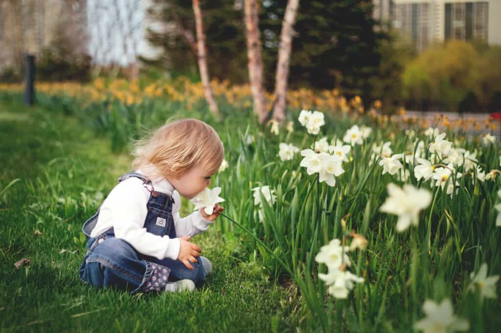 The best Spanish songs and poems for spring | Niños & Nature
