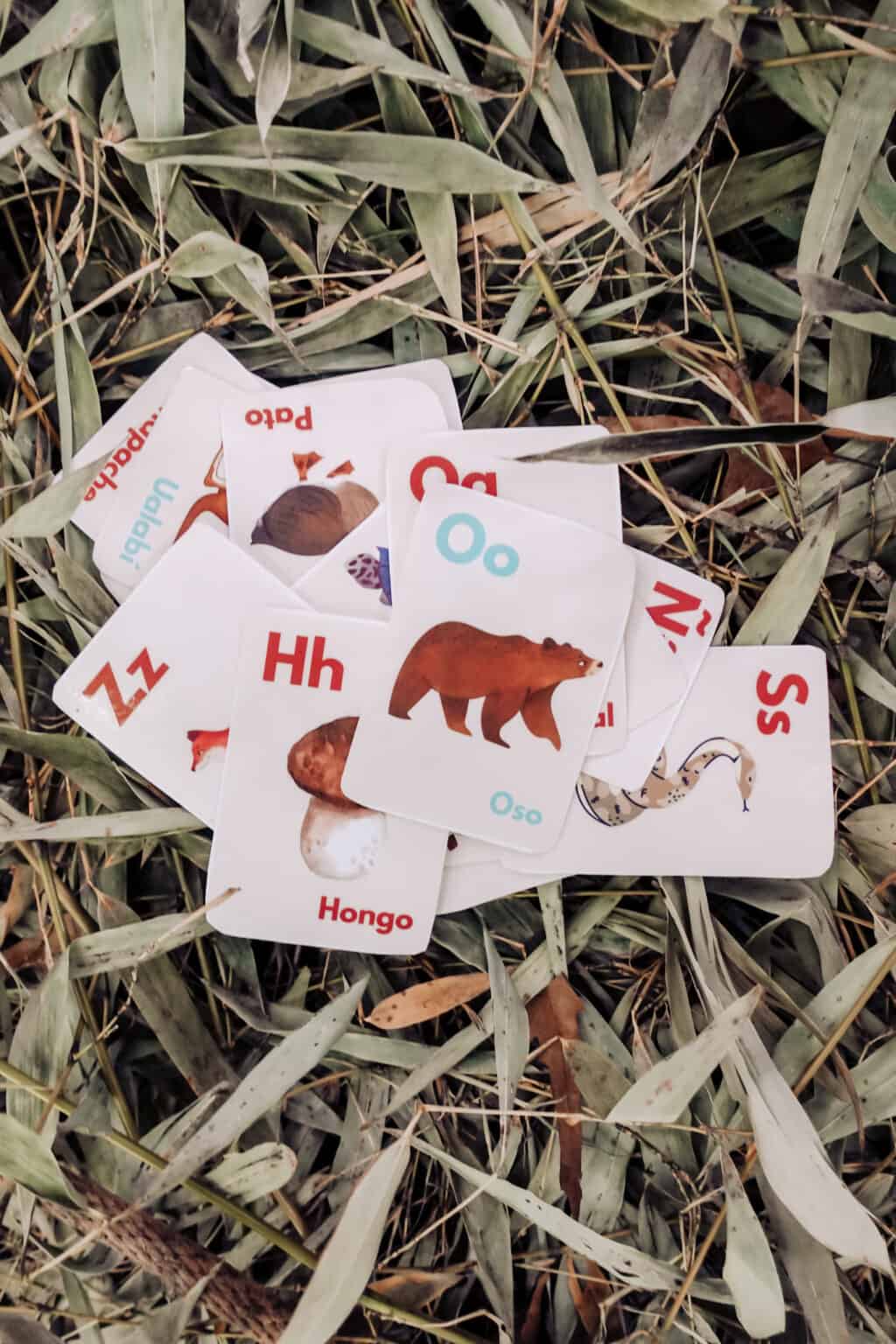 Free Spanish Alphabet Flashcards: Learn this fun Spanish alphabet song ...