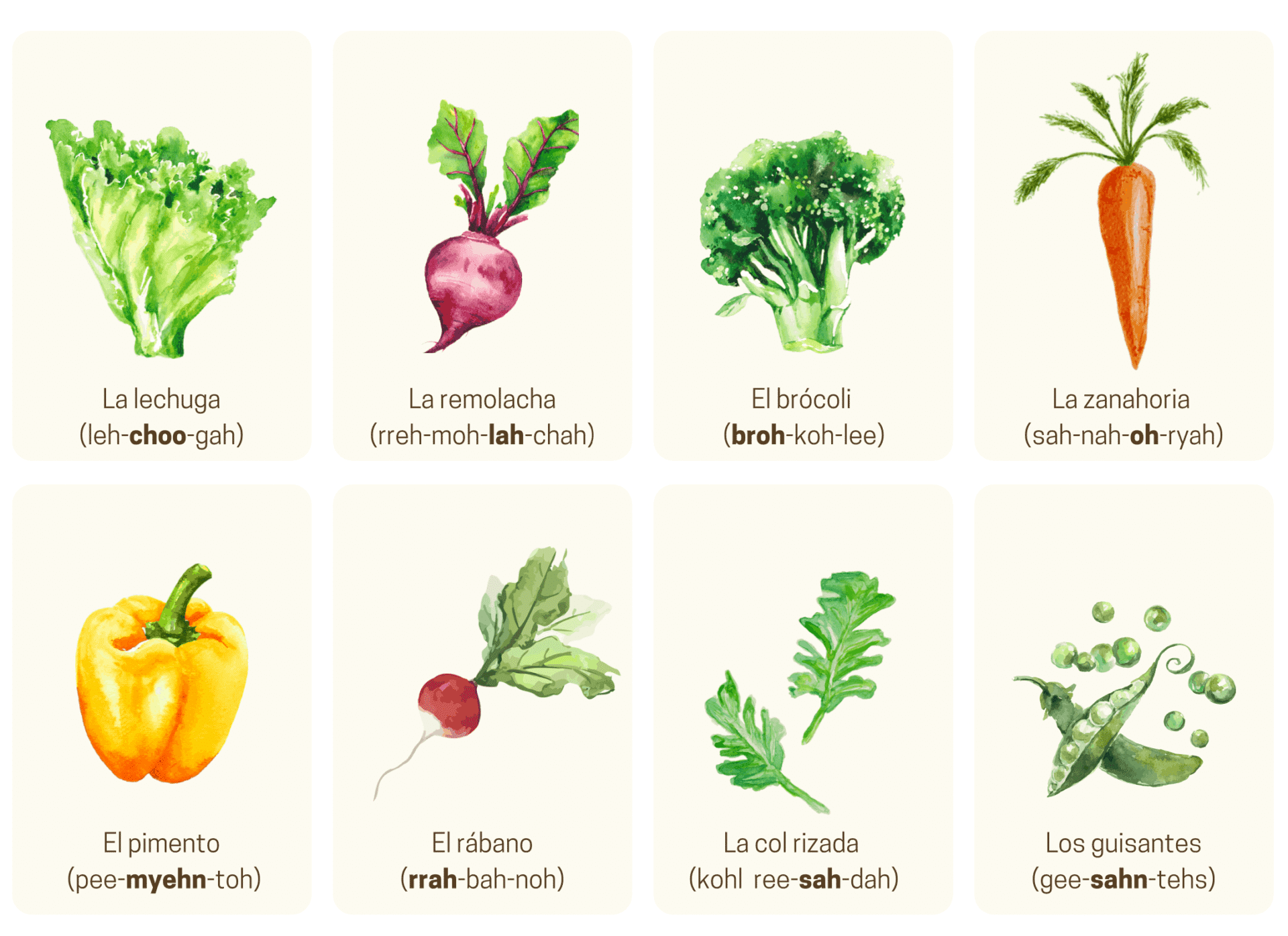 Spanish in the Garden- Free Spanish Learning for Kids | Niños & Nature