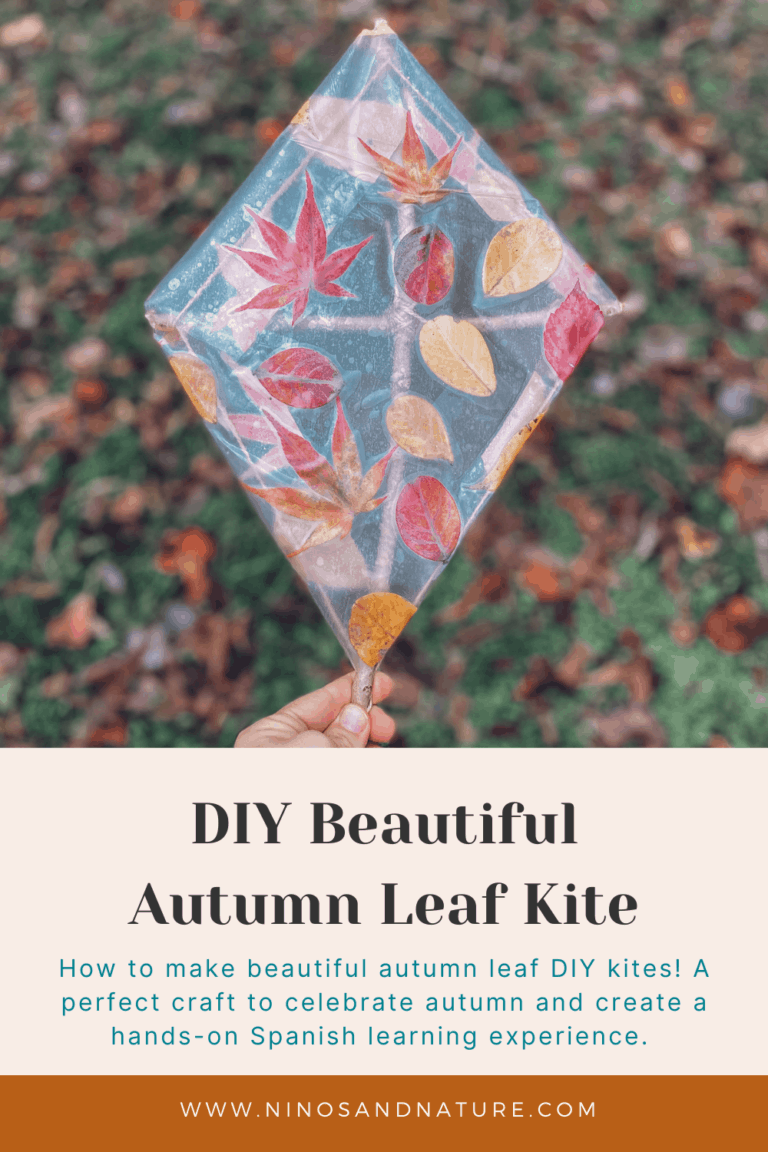 Make Your Own DIY Kite With Beautiful Autumn Leaves | Niños & Nature