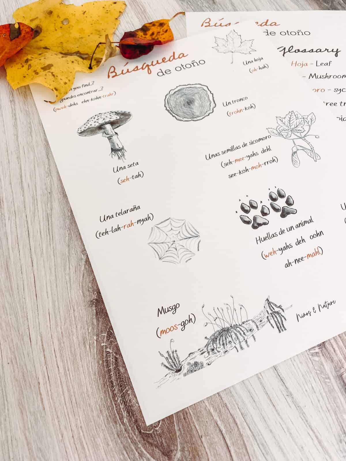 Beautiful Autumn Spanish Scavenger Hunt - Free Spanish Activities for ...