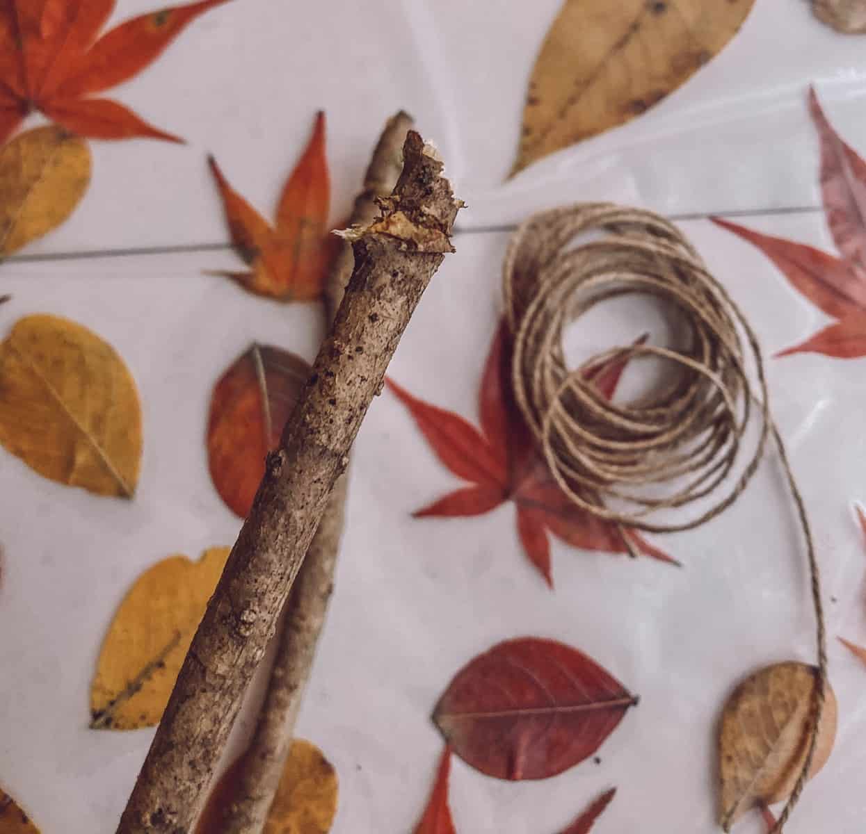 Make Your Own DIY Kite With Beautiful Autumn Leaves | Niños & Nature