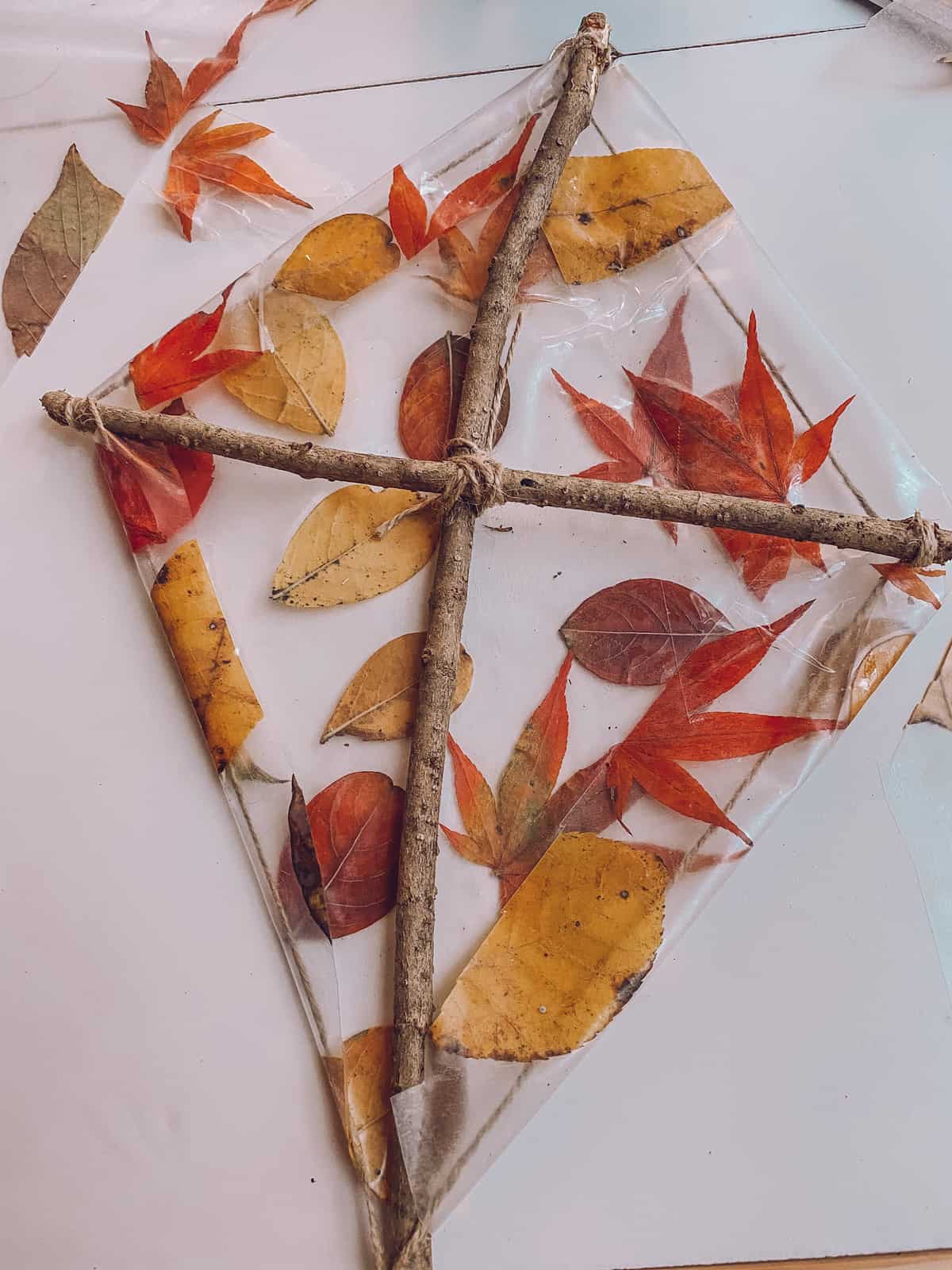 Make Your Own DIY Kite With Beautiful Autumn Leaves | Niños & Nature