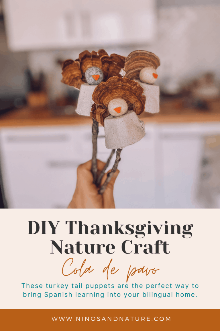 Make Your Own Easy Turkey Puppets | Learn Spanish this Thanksgiving ...