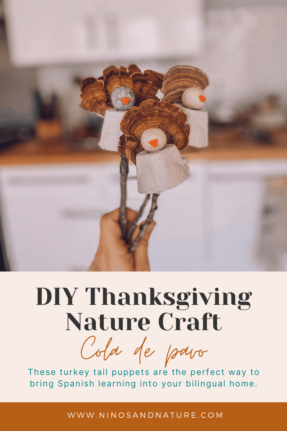 Make Your Own Easy Turkey Puppets | Learn Spanish this Thanksgiving ...