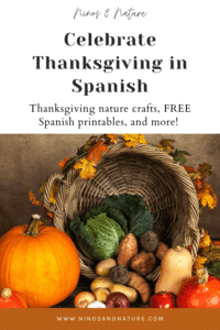 How to celebrate Thanksgiving in Spanish - Free Spanish Lessons for ...