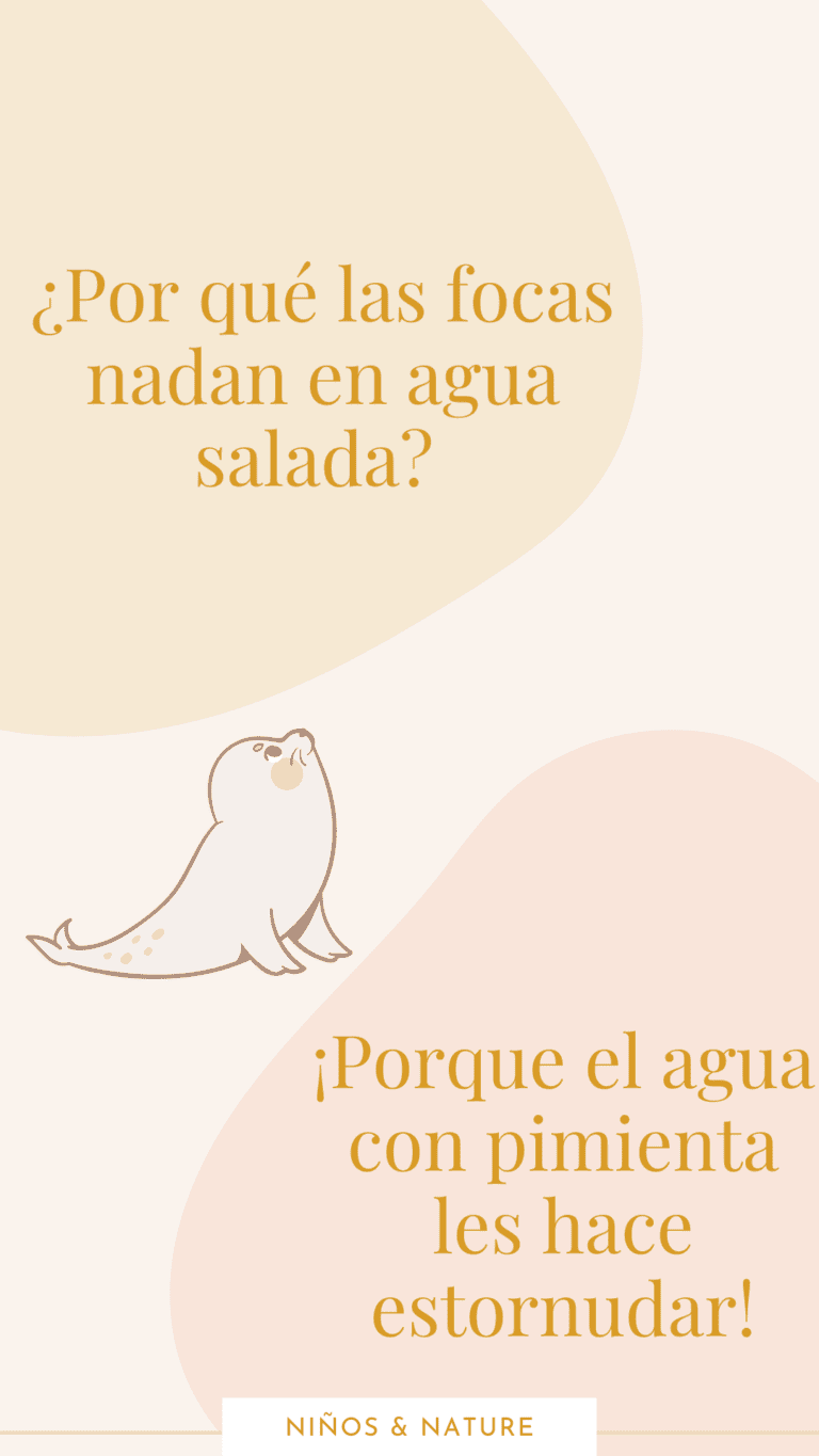 20+ Easy Spanish Jokes for Kids - Funny Spanish Jokes for the Classroom ...