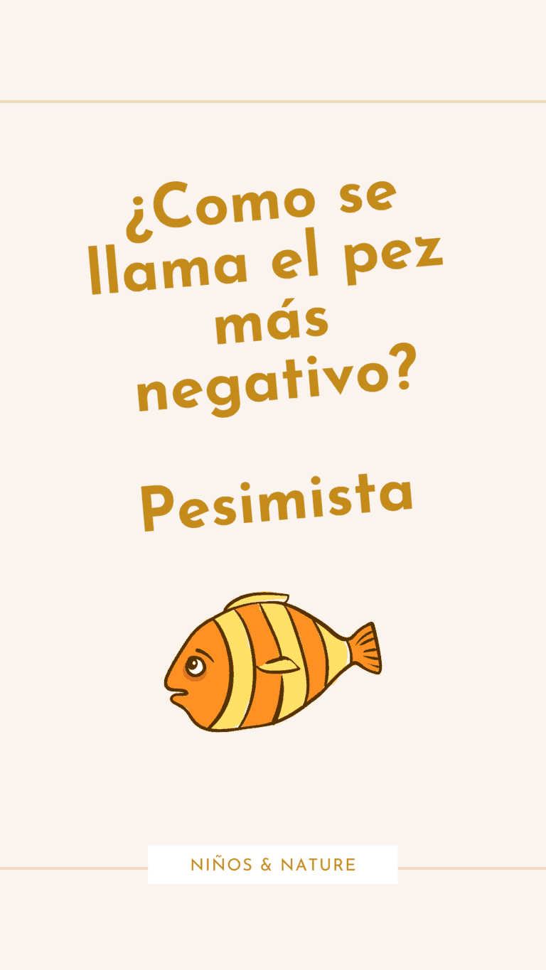 20+ Easy Spanish Jokes for Kids - Funny Spanish Jokes for the Classroom ...