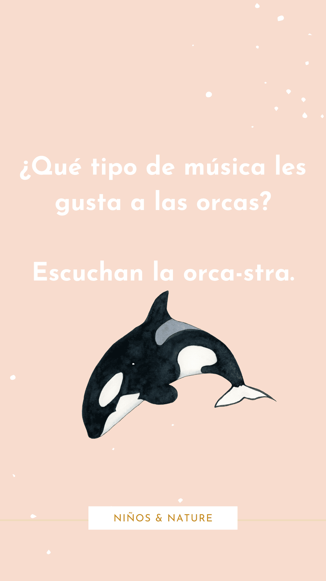 20+ Easy Spanish Jokes for Kids - Funny Spanish Jokes for the Classroom ...