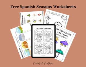 How to Learn the Seasons in Spanish – Spanish Season PDF FREE | Niños ...