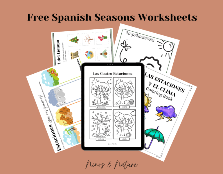 How to Learn the Seasons in Spanish – Spanish Season PDF FREE | Niños ...