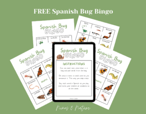 Learn about Insects & Bugs in Spanish - Free Printable Spanish Bingo ...