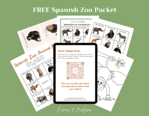 Learn about the zoo in Spanish - Free Spanish Zoo Worksheets! | Niños ...