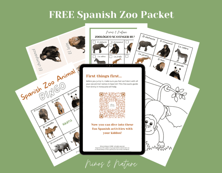 Learn about the zoo in Spanish - Free Spanish Zoo Worksheets! | Niños ...