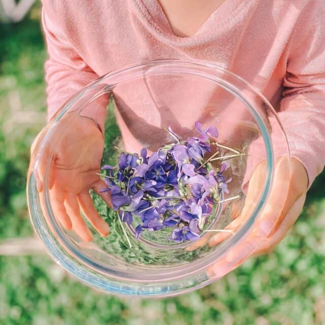 The best Spanish songs and poems for spring | Niños & Nature™