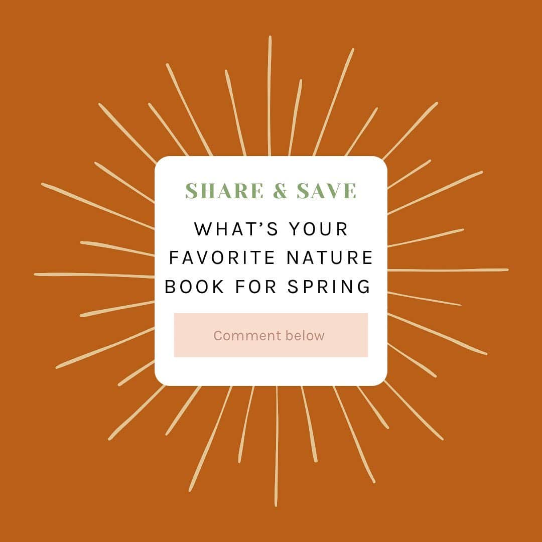 Free Spanish Weather Chart - Weather Words in Spanish - Fun Bilingual ...