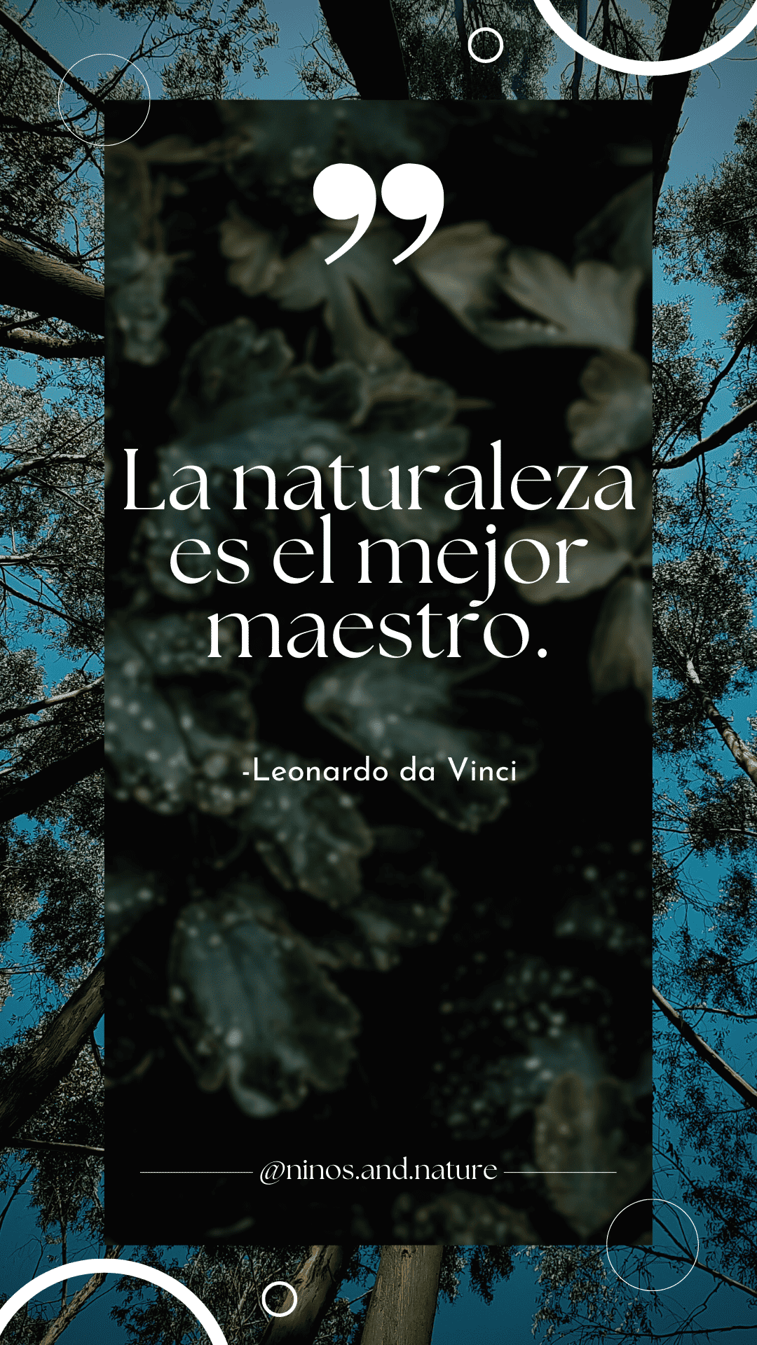 10 Beautiful Nature Quotes and Sayings in Spanish and English | Niños ...
