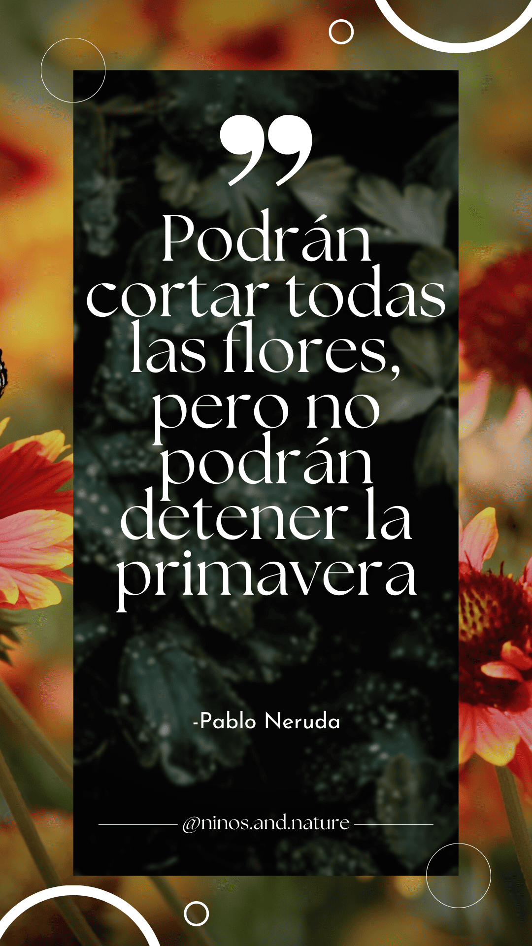10 Beautiful Nature Quotes and Sayings in Spanish and English | Niños ...