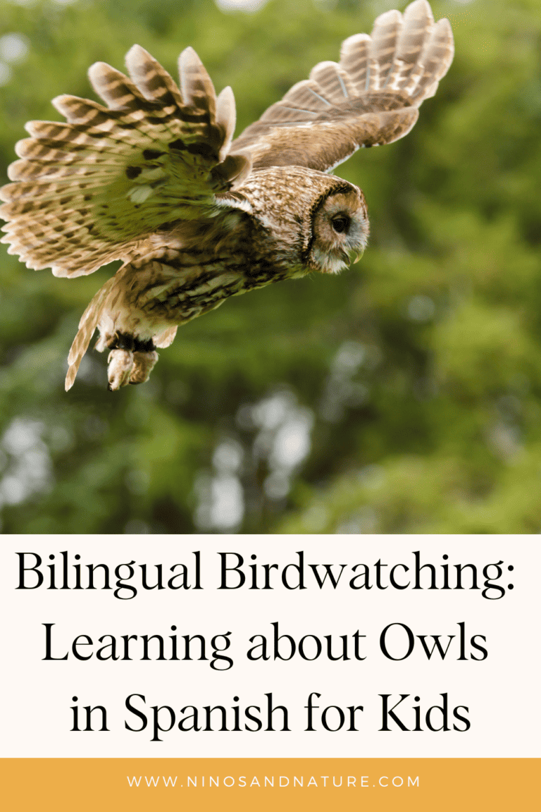 Spanish Nature Adventures - Learn How to Say Owl in Spanish | Niños ...