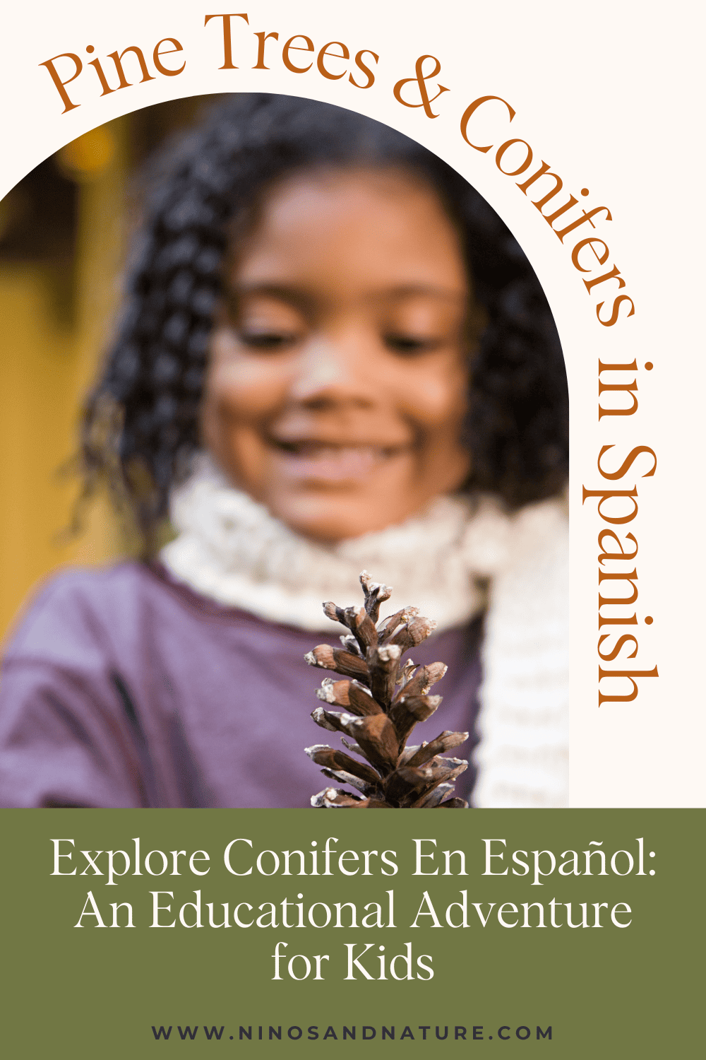 Enchanting Evergreens: Discovering Conifers in Spanish with Kids ...
