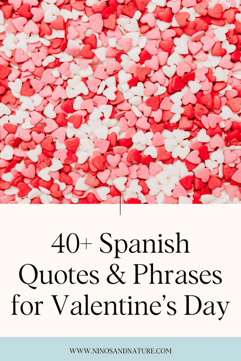 40+ Loving Quotes & Phrases in Spanish for Valentines Day | Niños & Nature