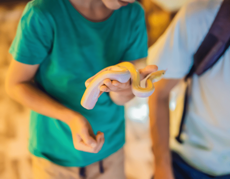 How to Say Snake in Spanish with Kids: Fun Spanish Learning Activities ...