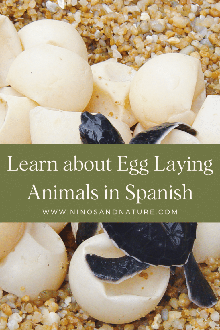 Oviparous Animals with Kids in Spanish - Free Spanish Animal Study ...
