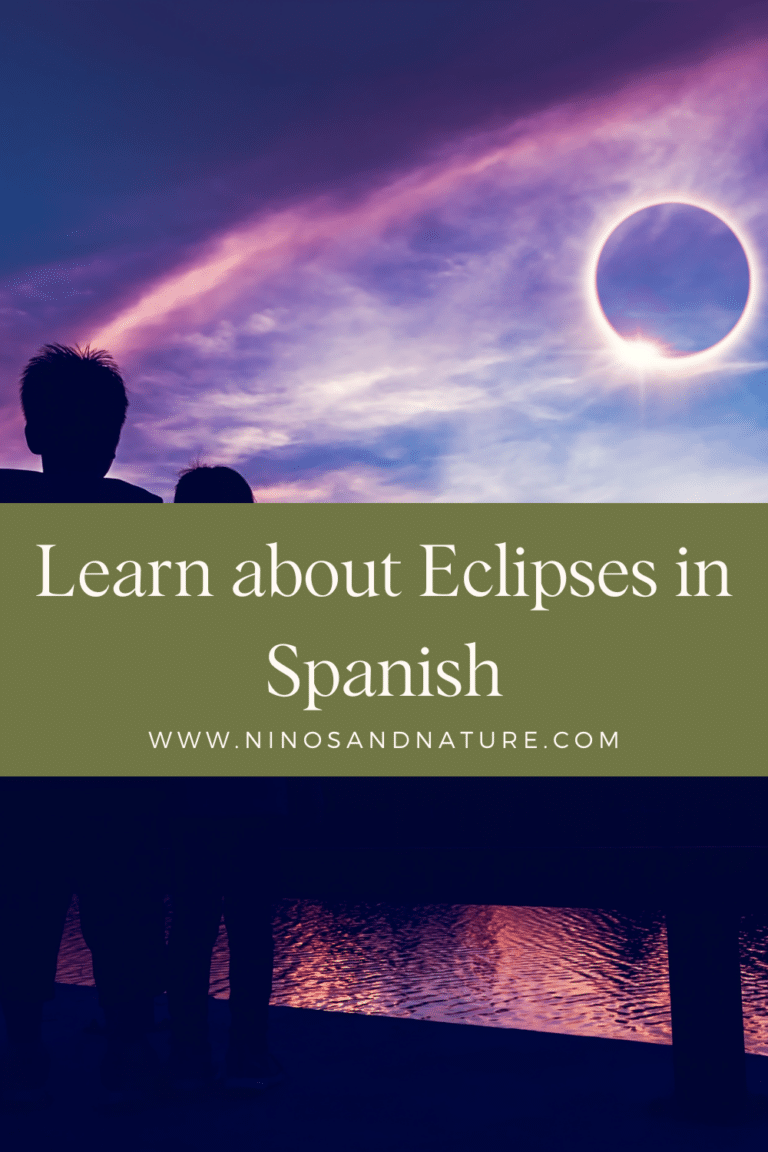 Learn about Eclipses in Spanish with Free Spanish Activities | Niños ...