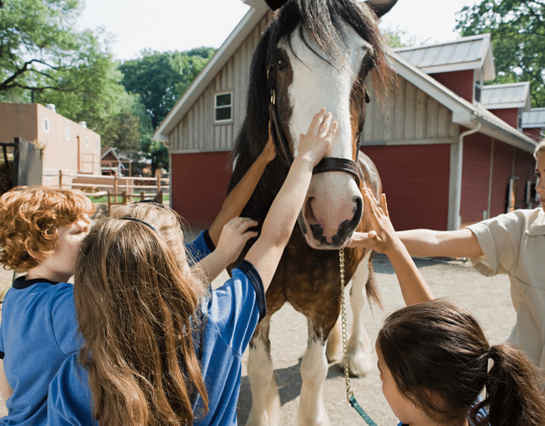 Horses in Spanish with Kids: Fun & Free Spanish Resources | Niños & Nature