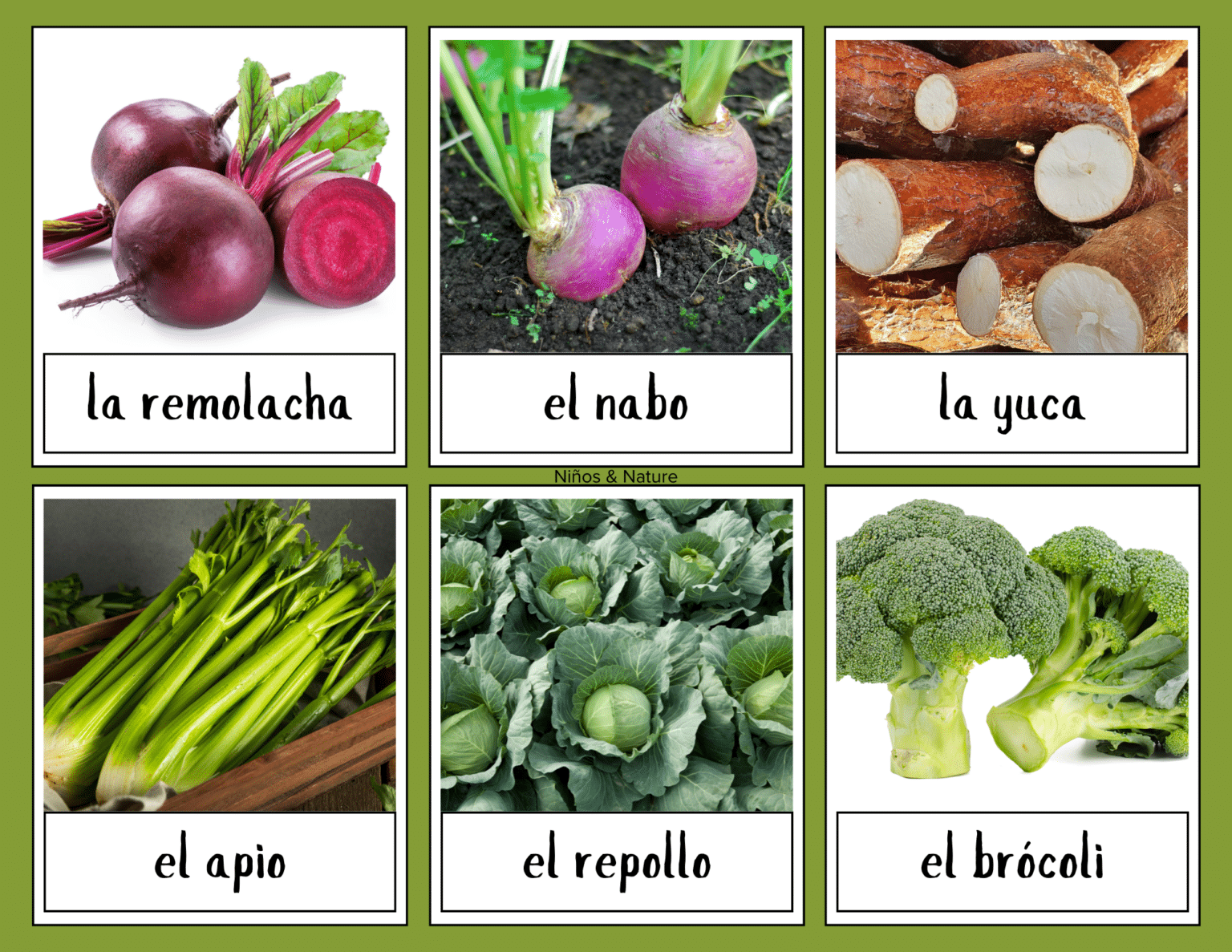 Learn Spanish Fruits and Vegetables with Fun Riddles: Adivinanzas para ...