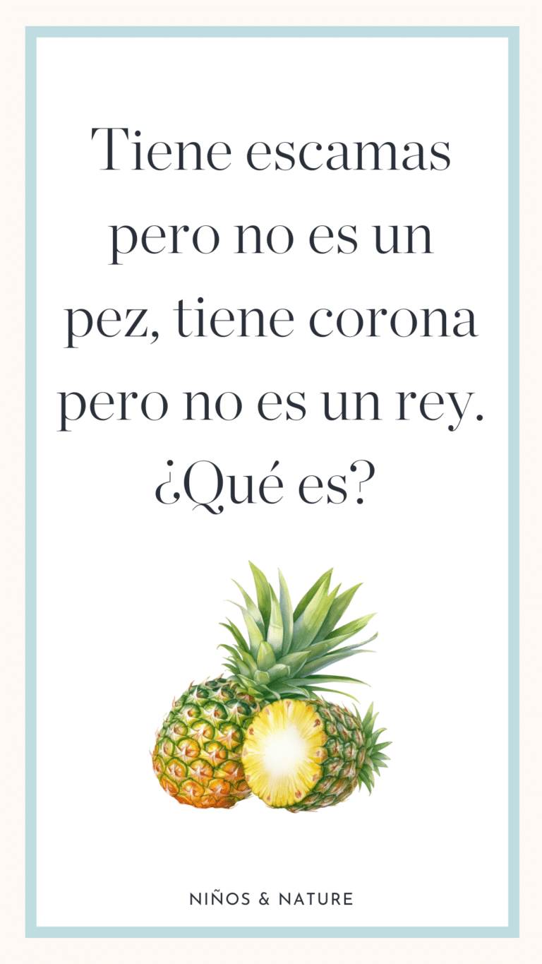 Learn Spanish Fruits and Vegetables with Fun Riddles: Adivinanzas para ...