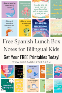 Get FREE Lunch Box Notes in Spanish for Bilingual Kids | Niños & Nature