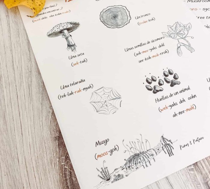 Free Spanish Activities | Niños & Nature™